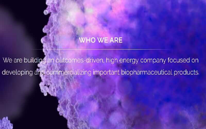 Everest Enters $224 Million Two-Drug China Partnership with Arena | NAI 500