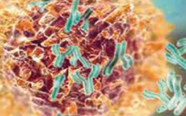 Harbor Antibodies与波士顿药企Abveris合作 | NAI 500