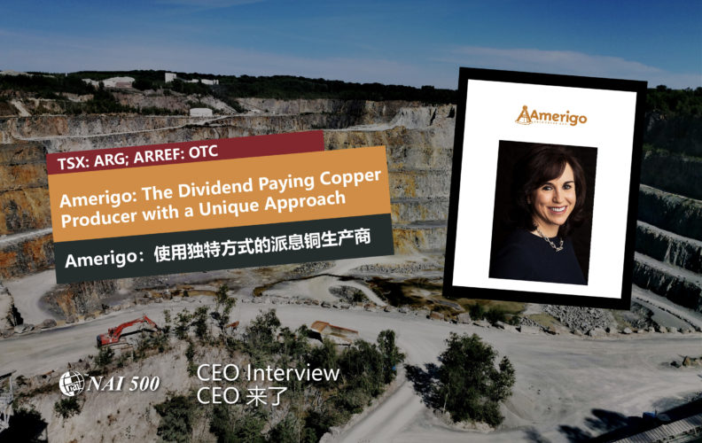 Base Metals Archives - NAI 500